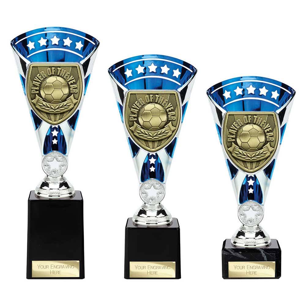 Cobra Star Cup Player of Year - Blue — Empire Medals